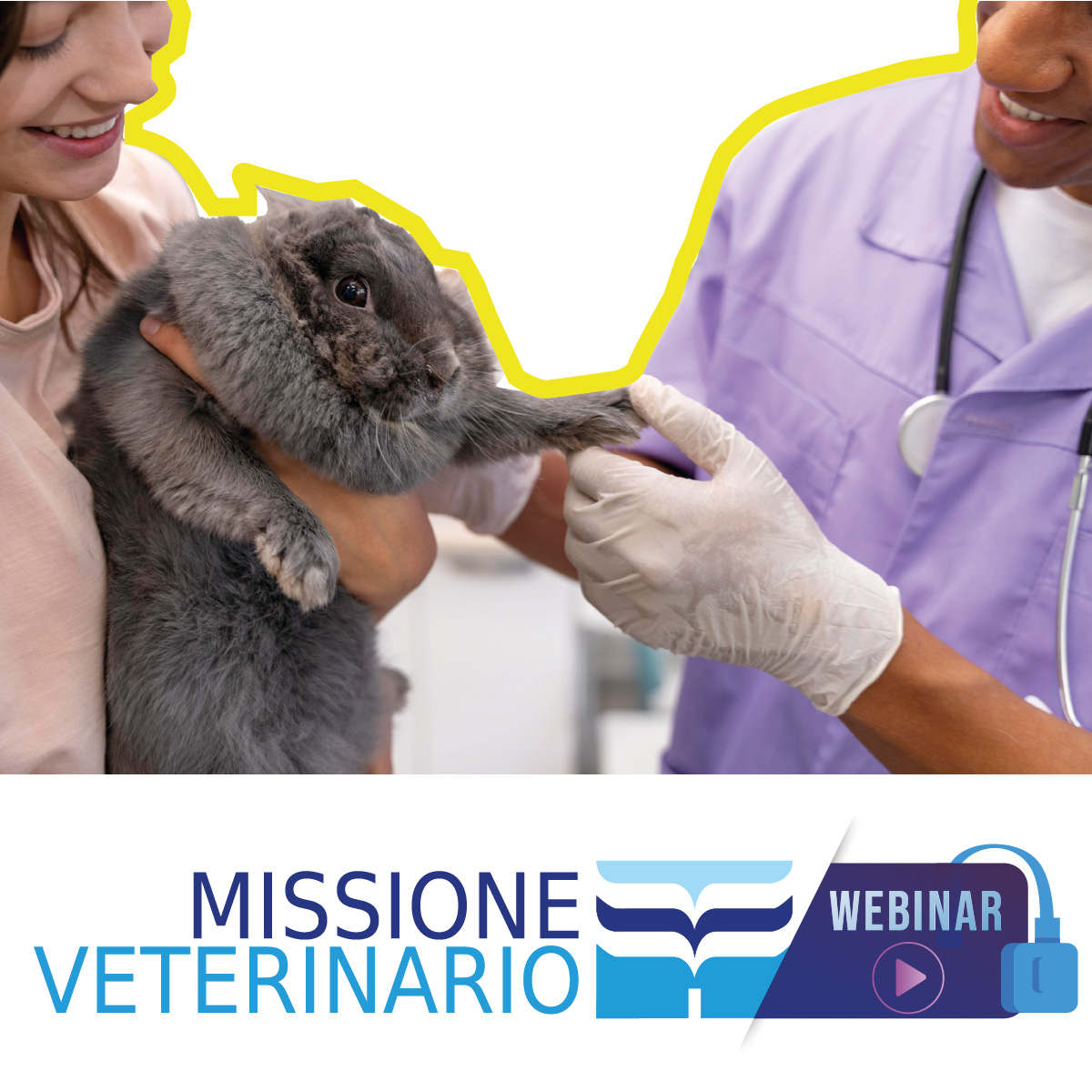 Webinar - Missione Veterinario